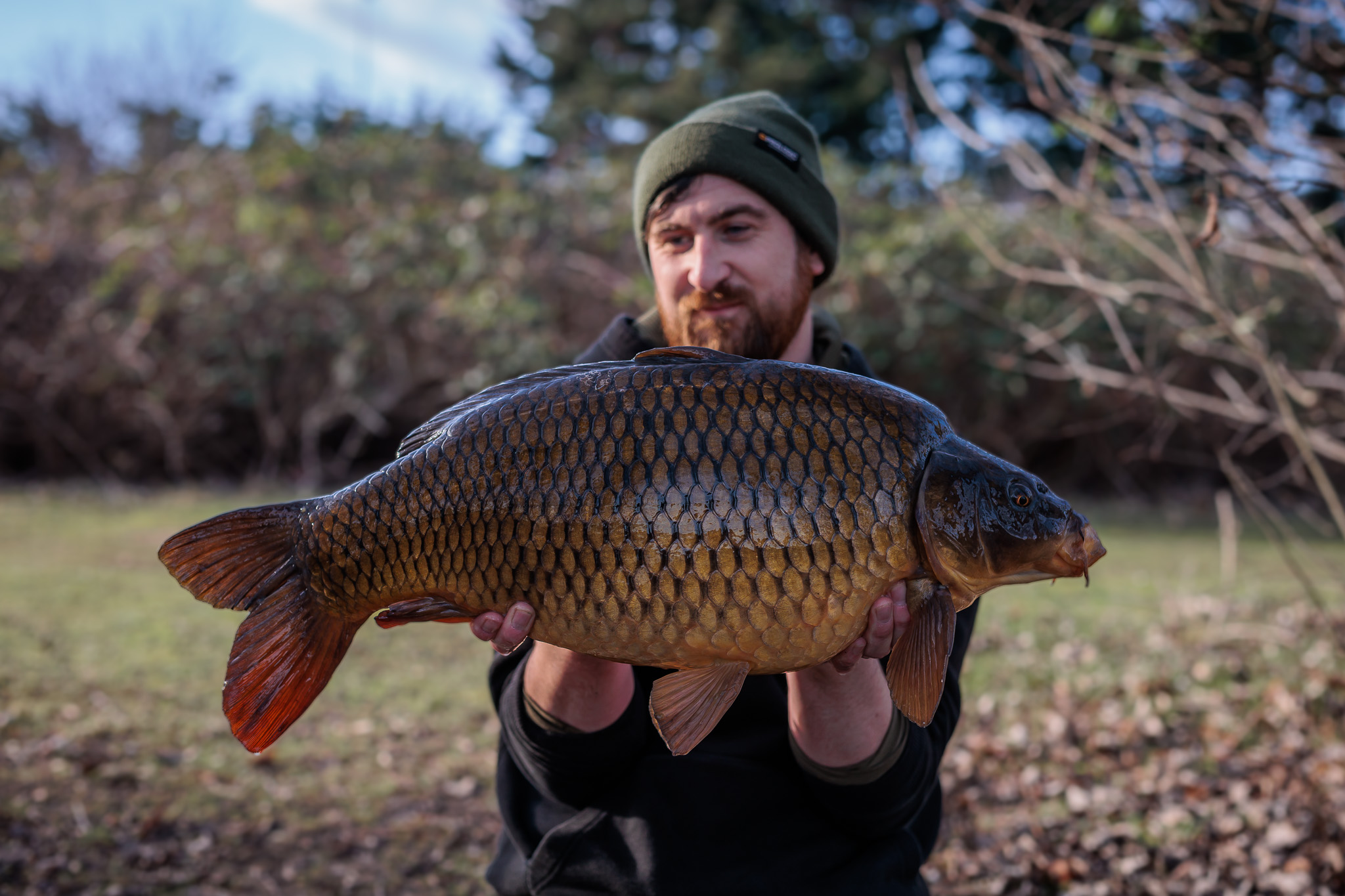 Winter common | Total Carp